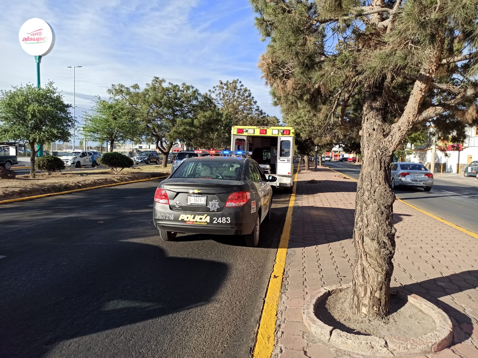 Motociclista derrapa por evitar pasar sobre perro atropellado