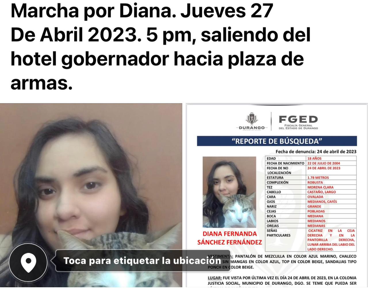 Convocan a marcha por Diana Fernanda, joven que desapareció el lunes en ...