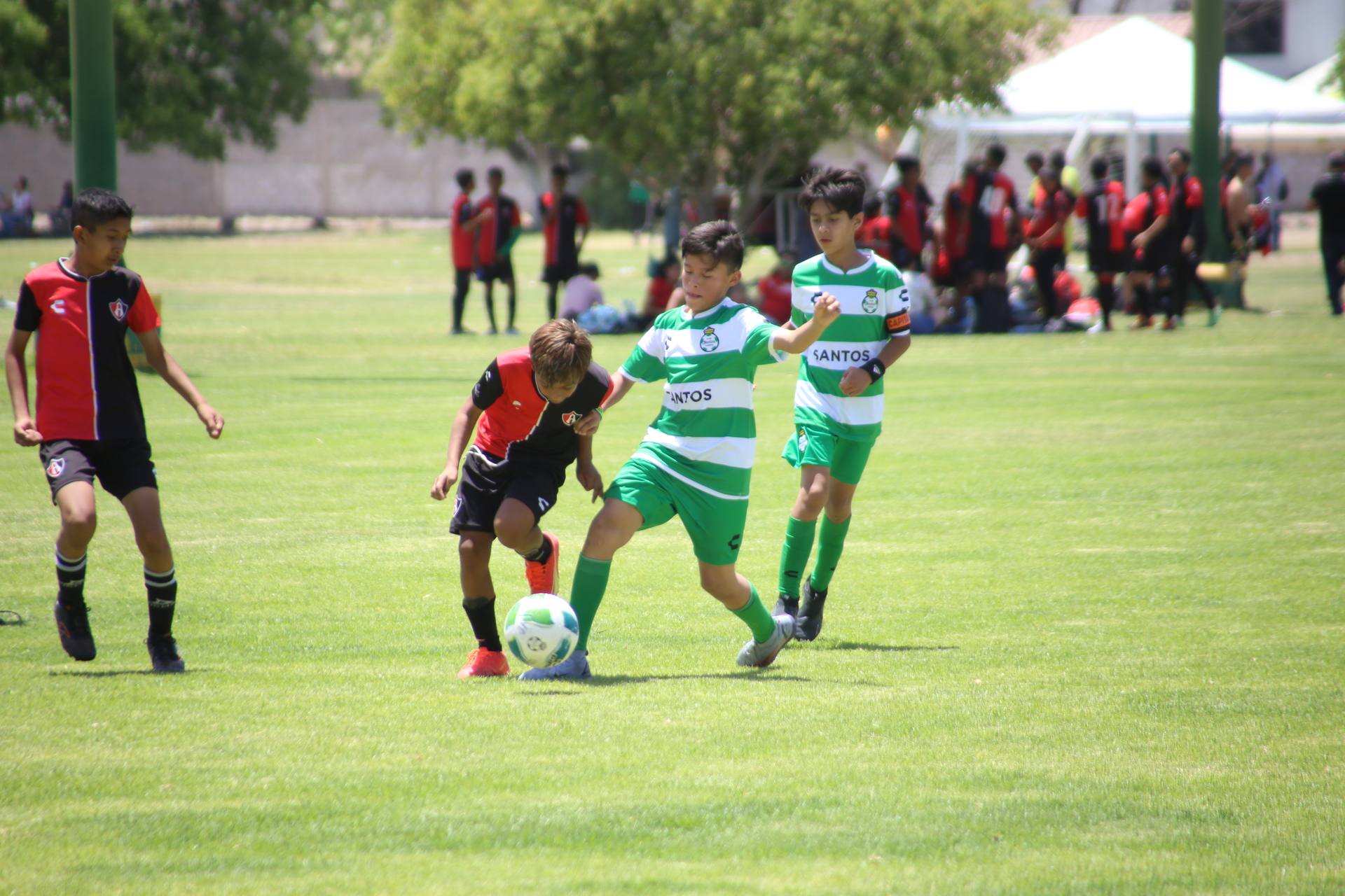 Consiguen buenos resultados Academias Peñoles
