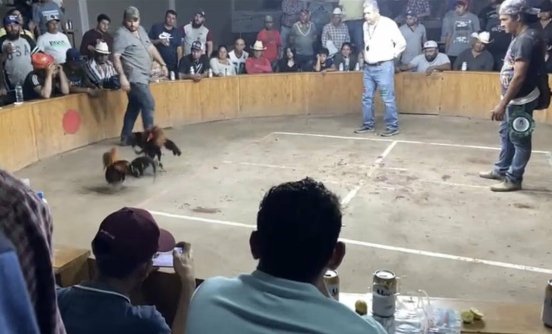Video: Ataque armado en palenque de gallos clandestino deja 3 muertos
