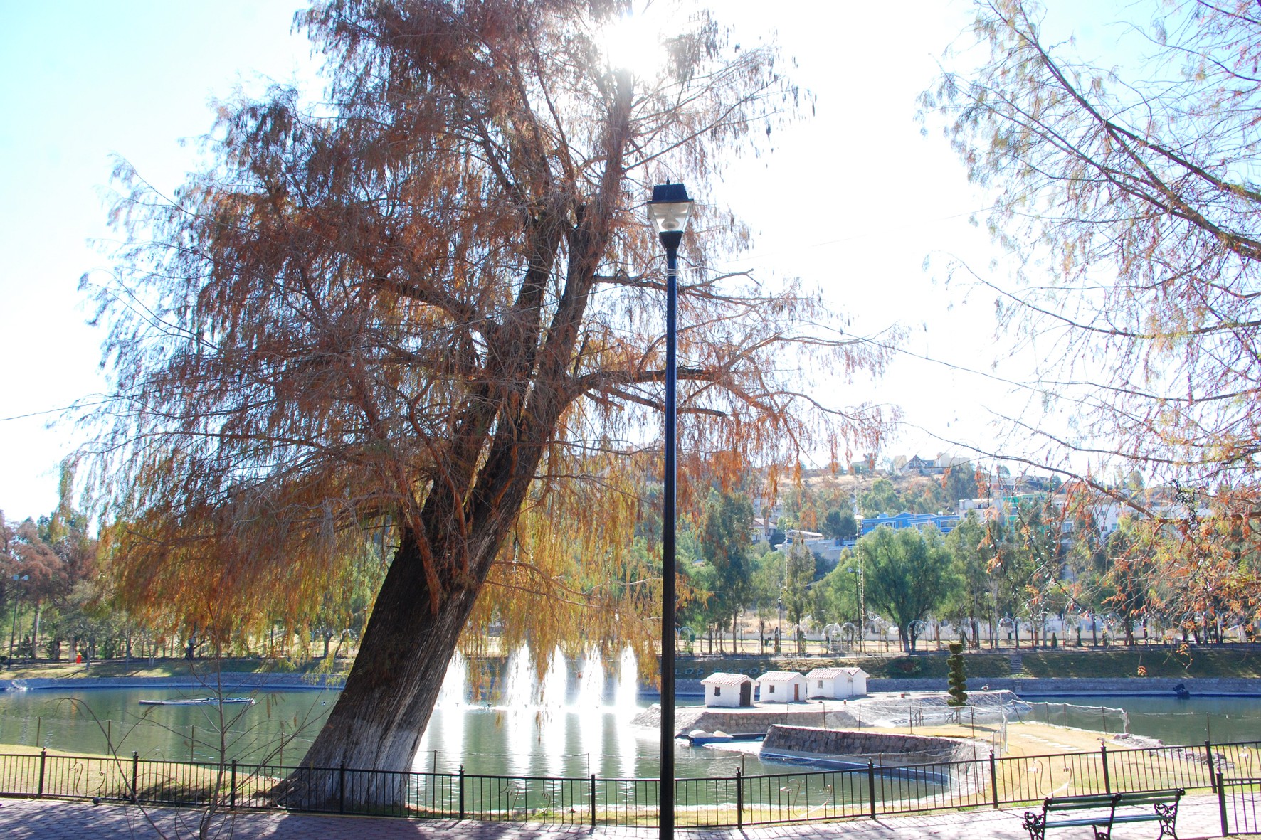 Delimitan el Área Natural Protegida de los Parques en Durango