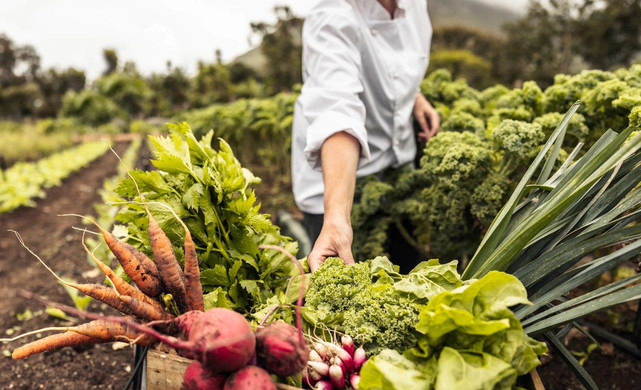 Alimentos orgánicos, ¿qué son y cómo distinguirlos?