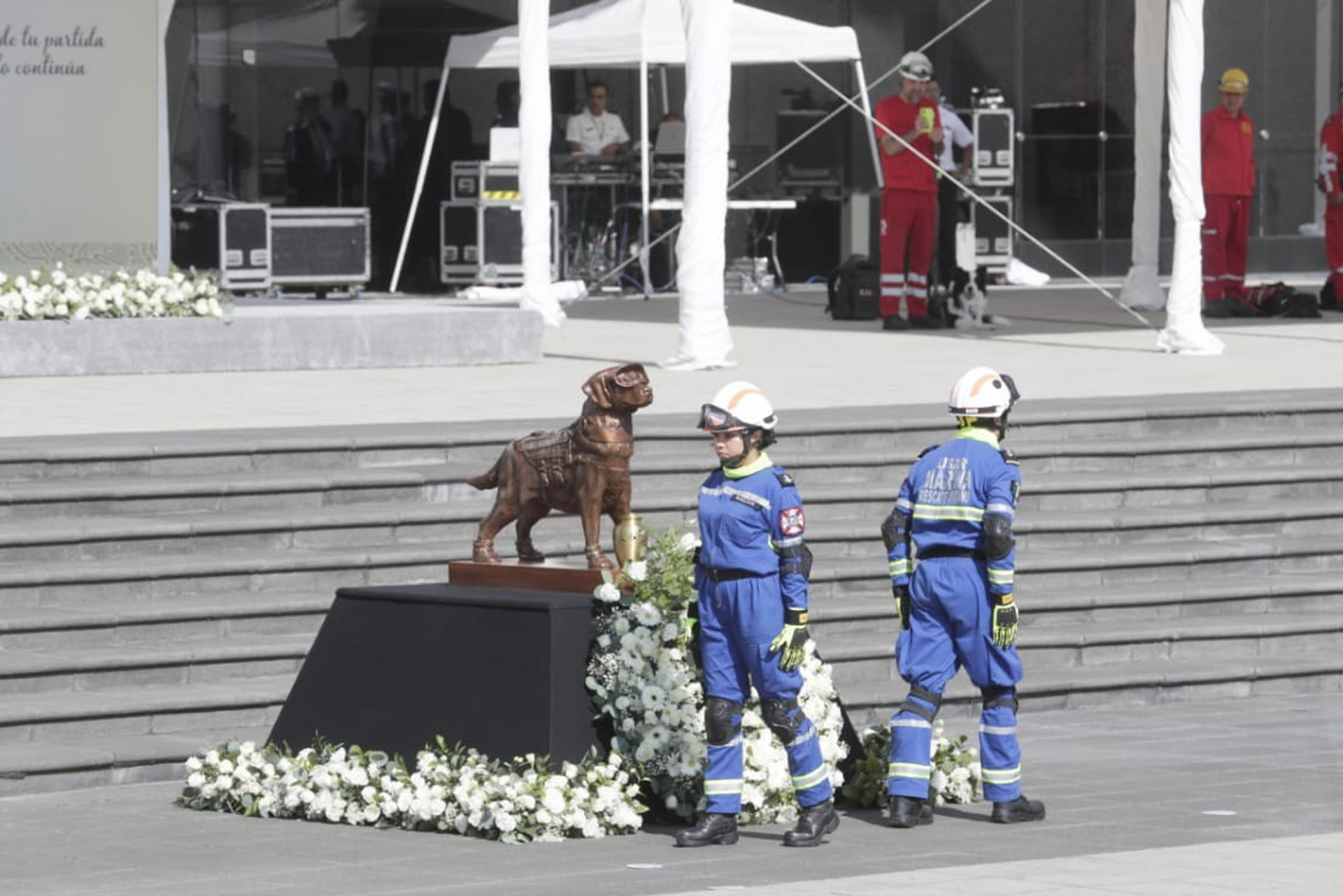 Marina realiza homenaje a la perrita rescatista Frida a un año de su ...