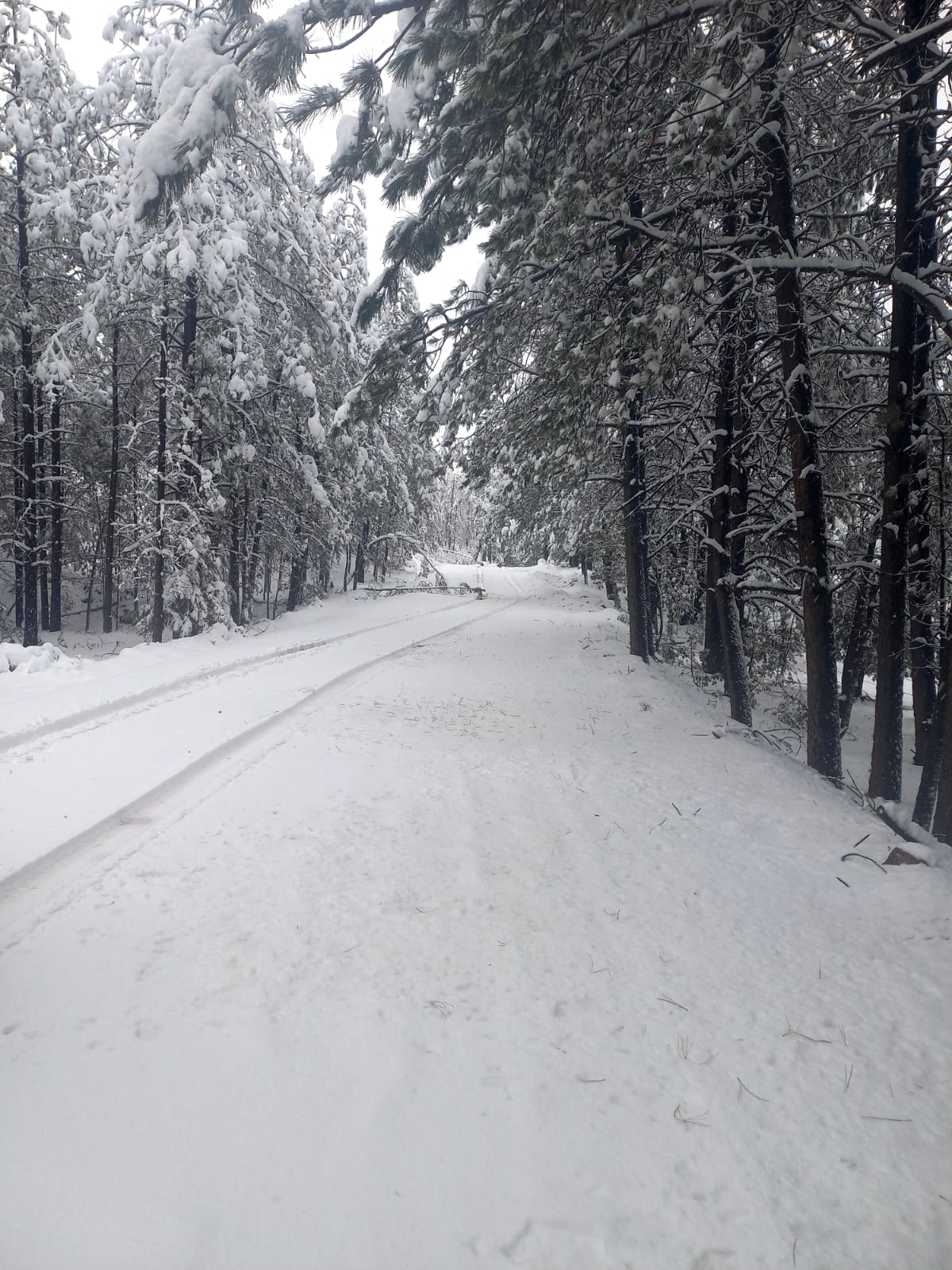 La Rosilla, Guanaceví: el 'congelador' de México