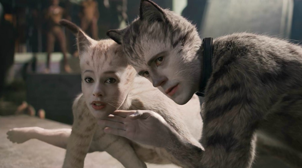 'Cats' se exhibe en la Cineteca Municipal de Durango