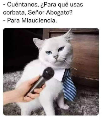 ¡Felicidades mi lic!: Celebran el Día Internacional del Abogado con ...