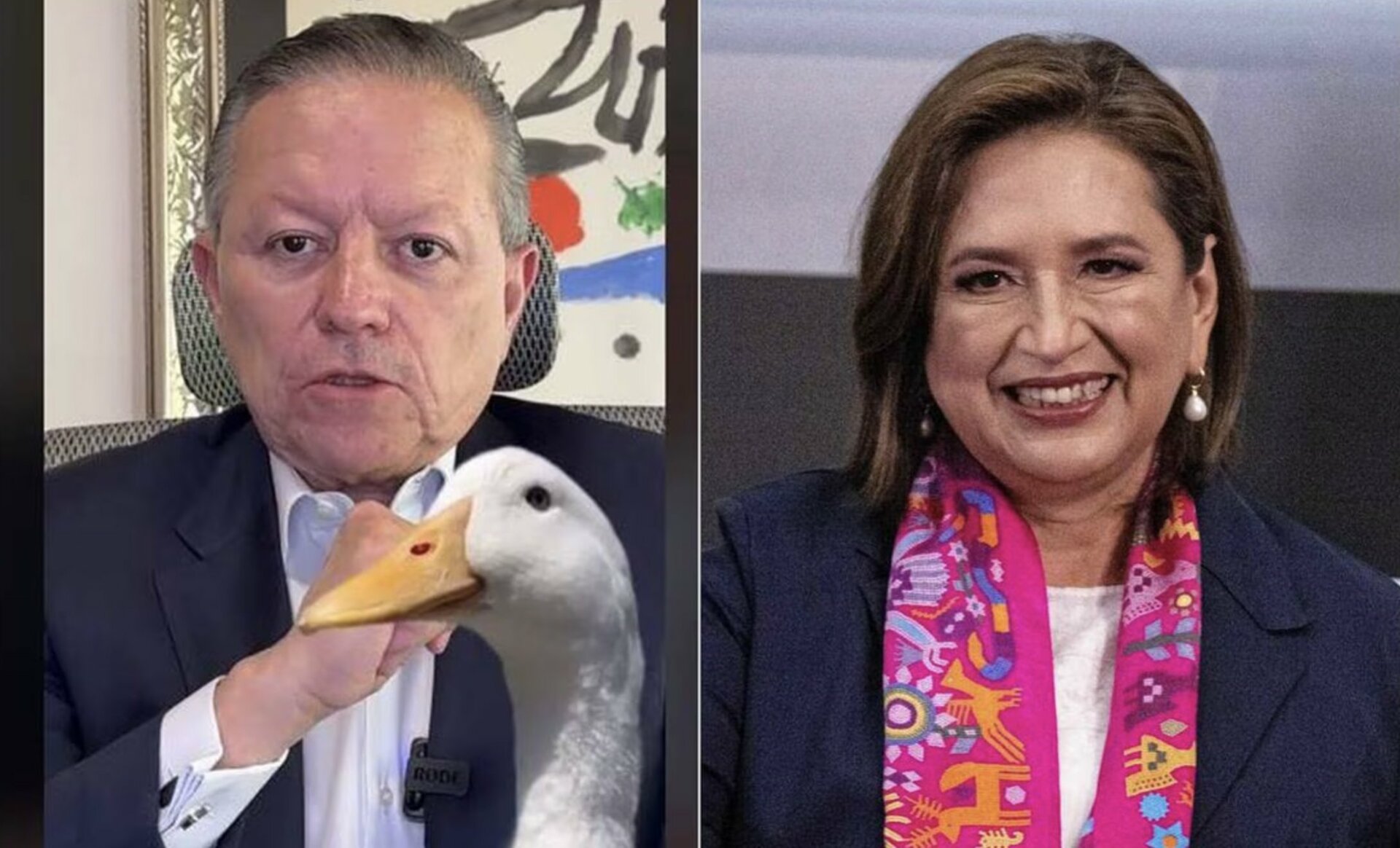 VIDEO Arturo Zaldívar usa dicho 'del pato' para señalar a Xóchitl ...