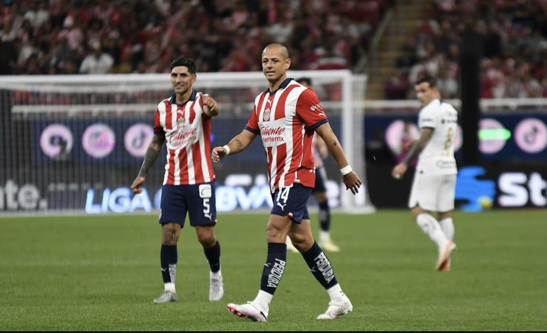 Chicharito debuta con Chivas; regresó a las canchas después de ocho meses