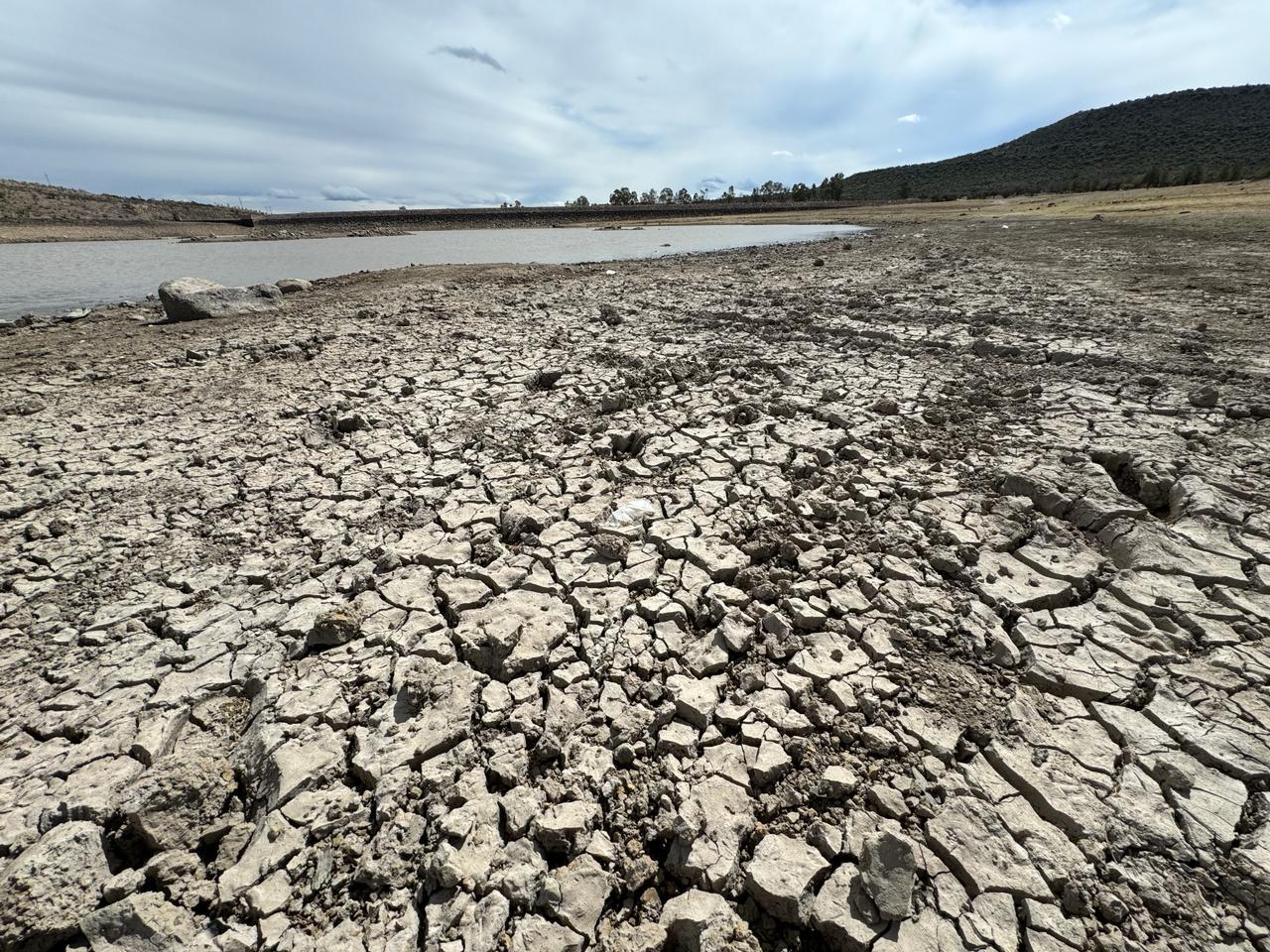 Se vive el peor inicio de año por la sequía en Durango