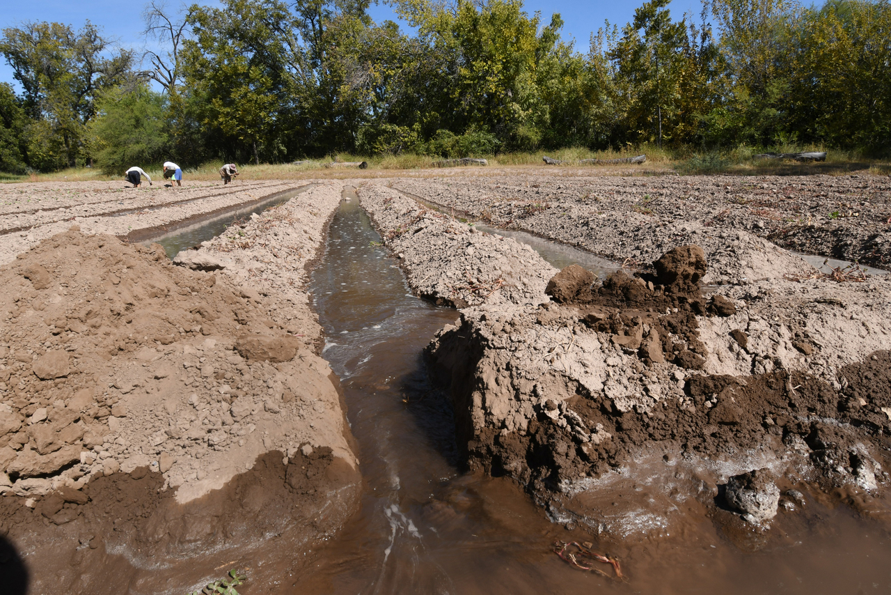 Dan 10 millones de m3 de agua a parcelas de cuatro municipios de Durango