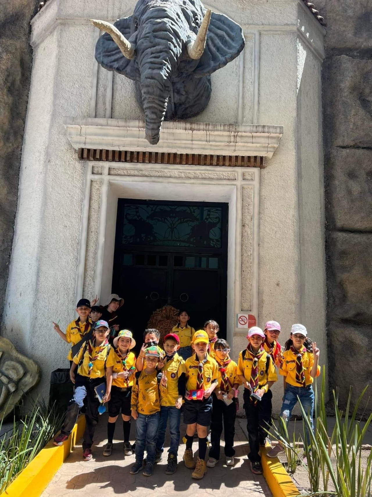 Movimiento Scout en Durango transforma vidas