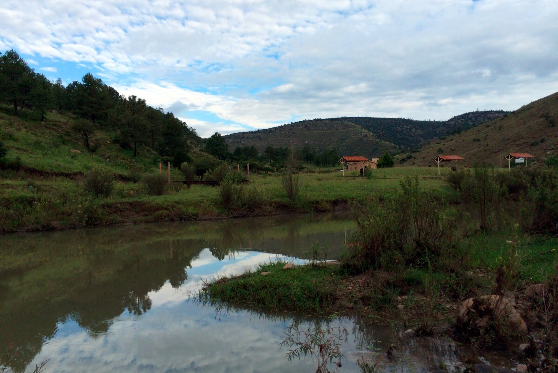 ¡Ya Basta!, dice Medici sobre invasión a 3 Molinos