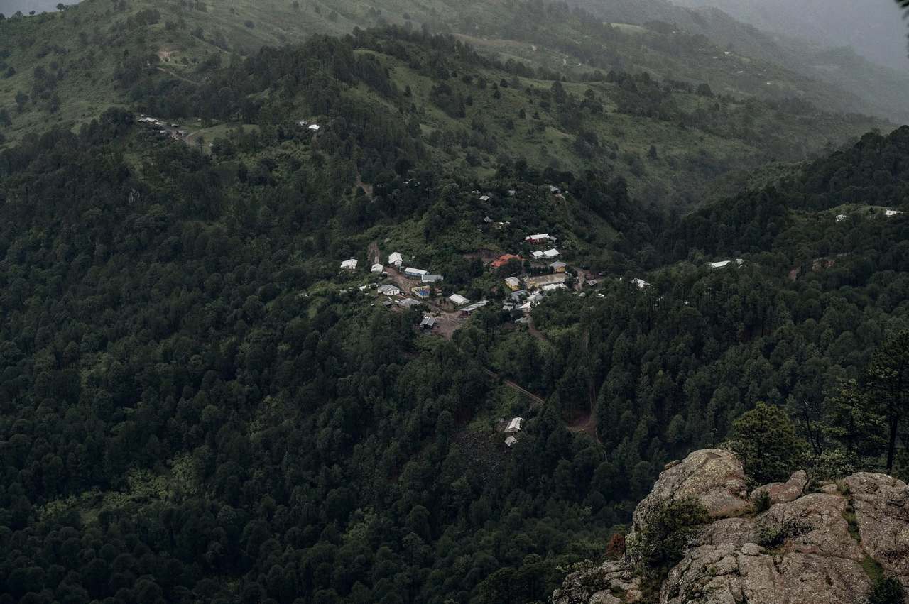 Diputado plantea priorizar cuidado ambiental en Durango