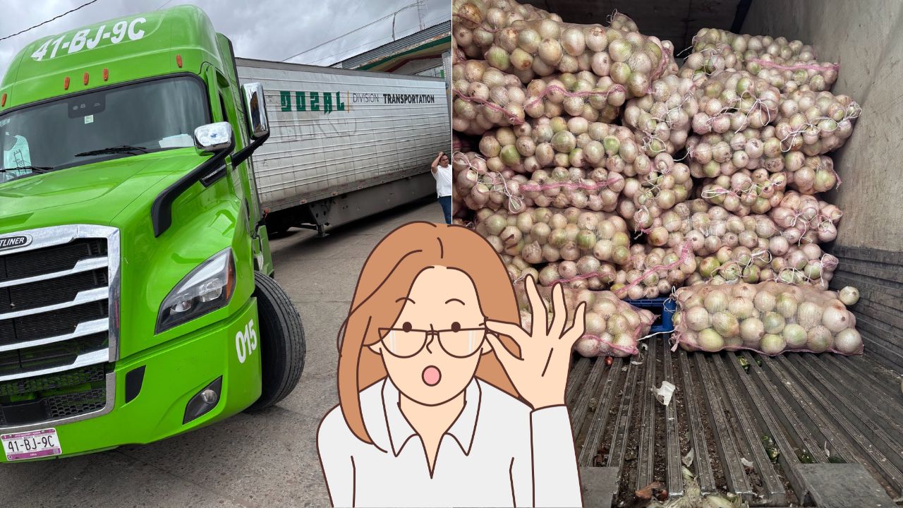 Regalarán 40 toneladas de cebolla en Durango; así puedes conseguir un ...